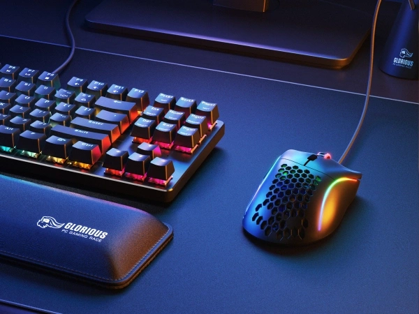 Glorious Model D 有線滑鼠 | 唐翰有限公司，最值得信賴的品牌代理商